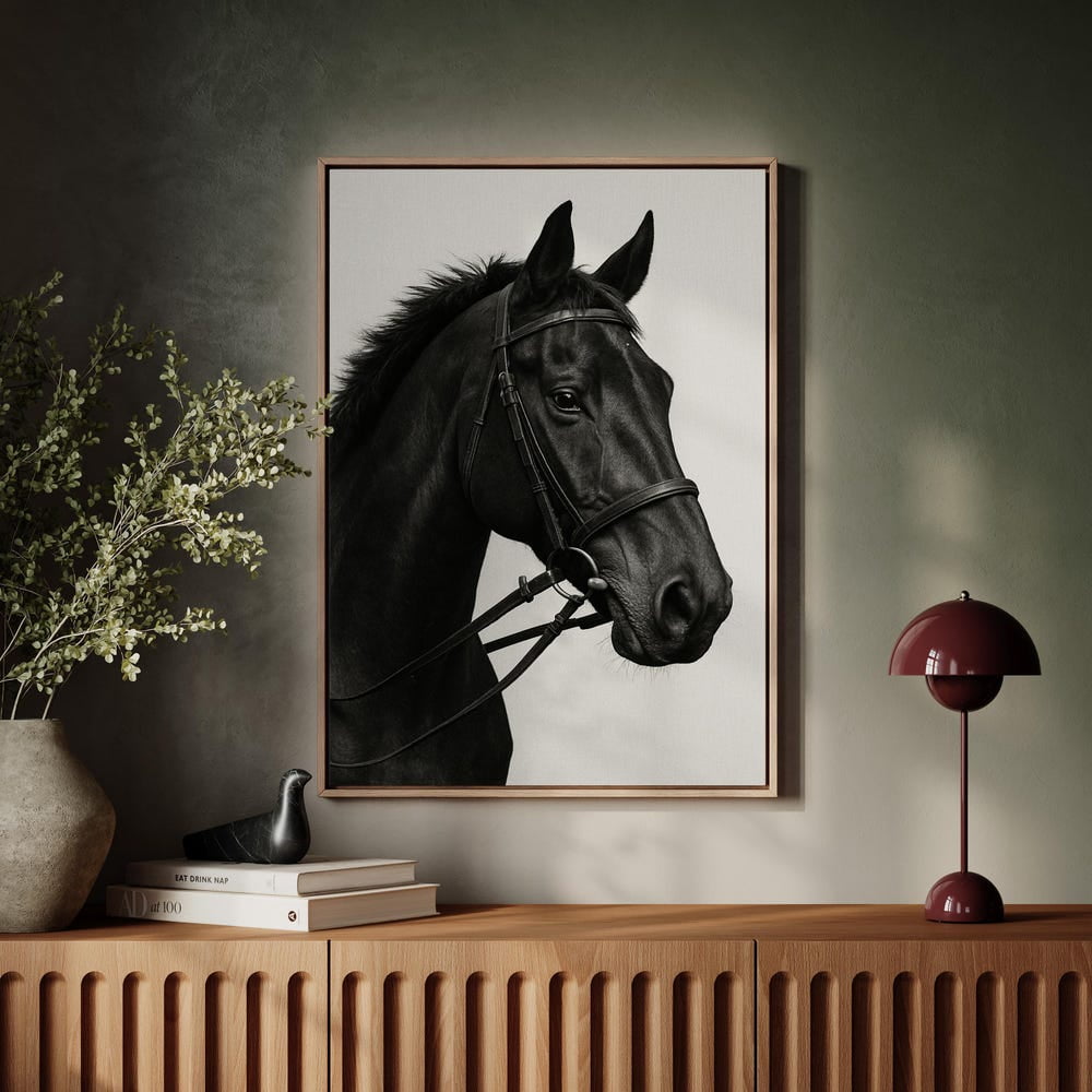 Dopaprint UNFRAMED PAPER POSTER Elegant Black Horse Portrait In Bridle ...