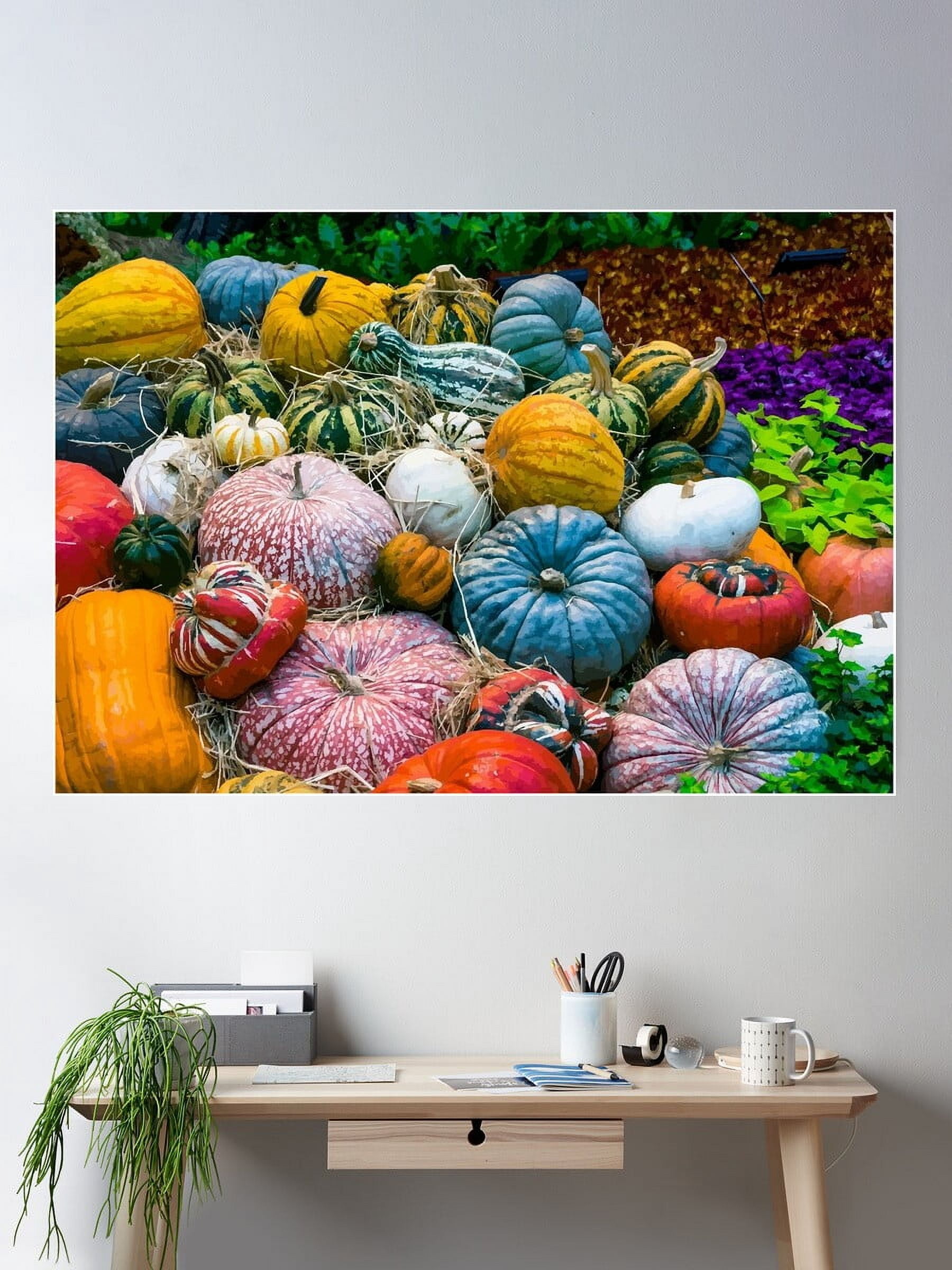 Dopaprint UNFRAMED PAPER POSTER Fall Pumpkins, Squash, Gourds Poster ...