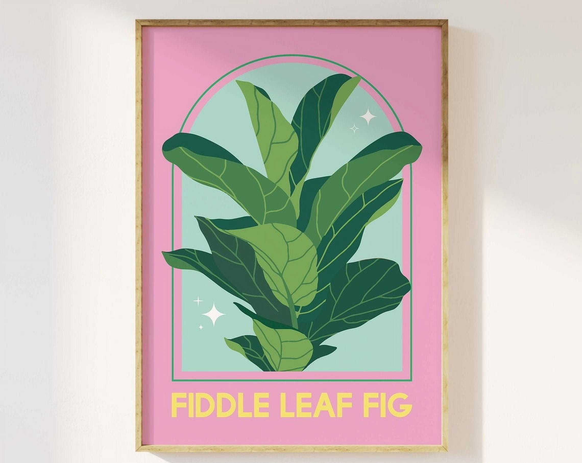 Dopaprint UNFRAMED PAPER POSTER Fiddle Leaf Fig House Plant Print ...
