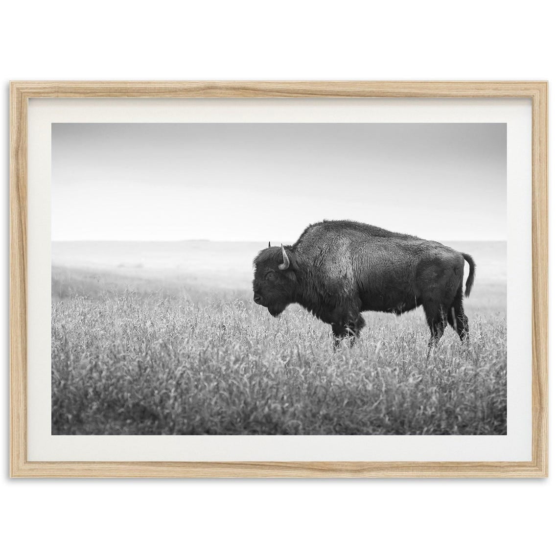 Dopaprint UNFRAMED PAPER POSTER Fine Art American Bison Print Black And ...