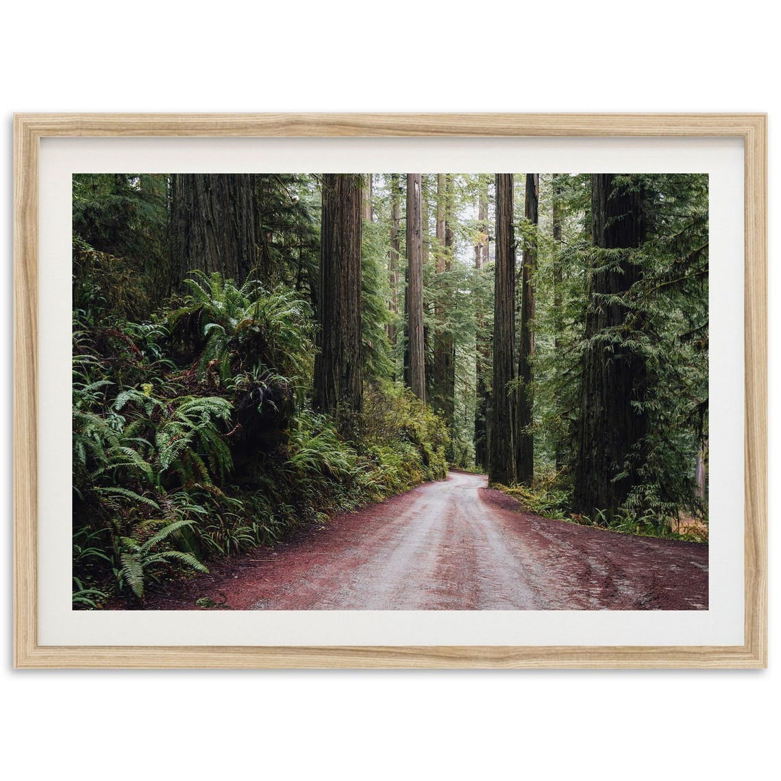 Dopaprint UNFRAMED PAPER POSTER Fine Art Forest Print - Pacific ...