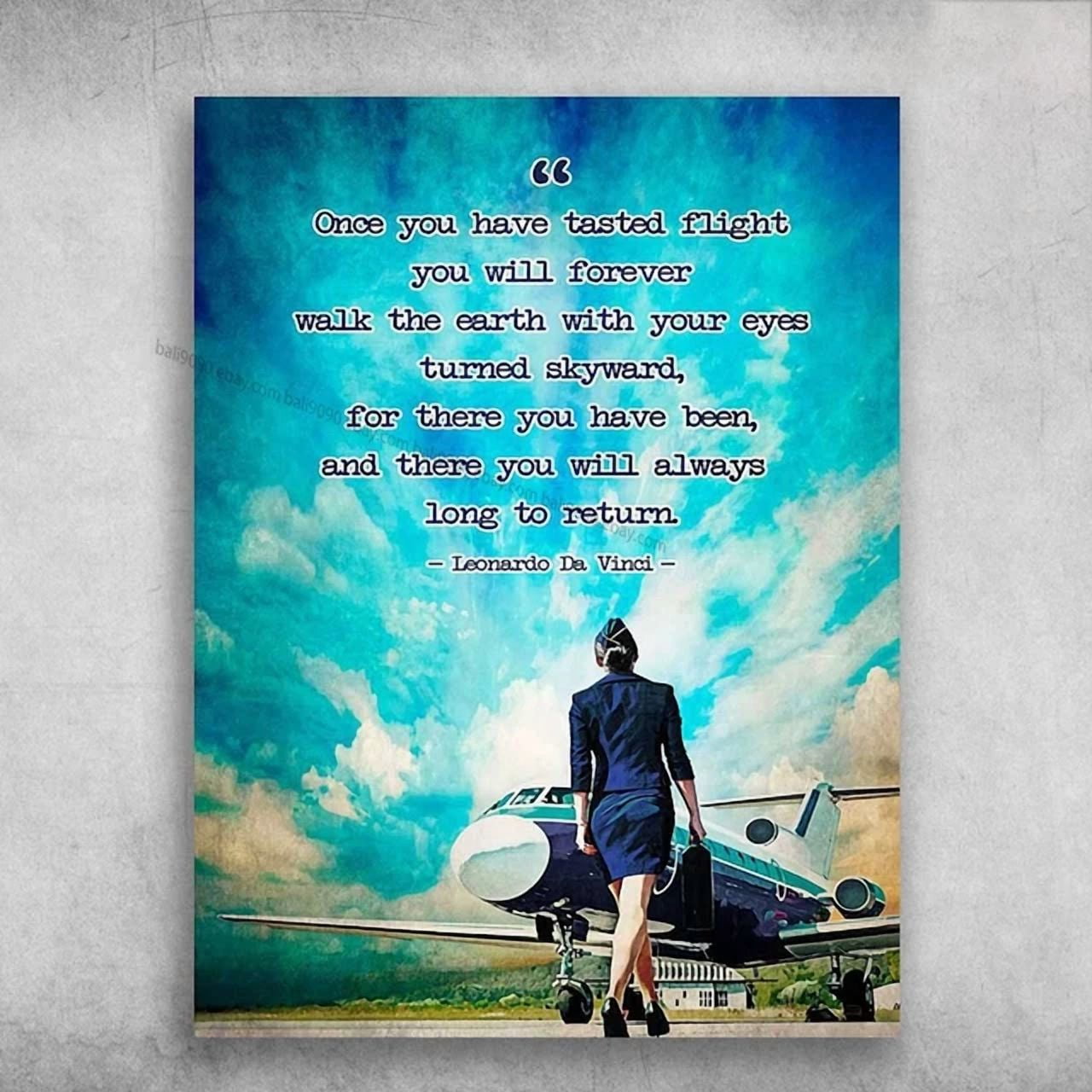 Dopaprint UNFRAMED PAPER POSTER Flight Attendant, Airplane Poster ...