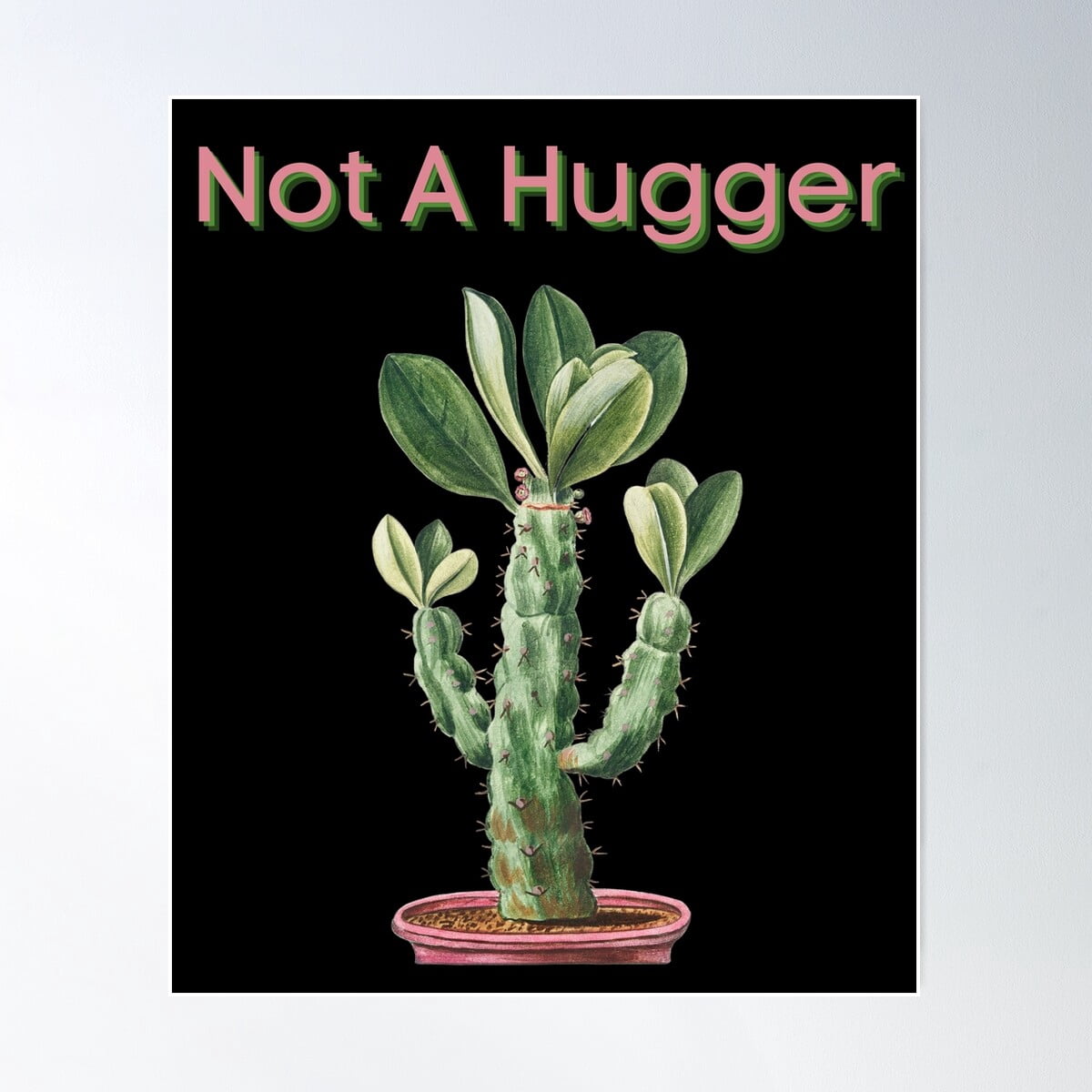 Dopaprint UNFRAMED PAPER POSTER Funny Not A Hugger Poster Wall Art ...
