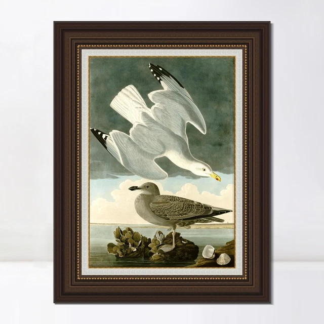 Dopaprint UNFRAMED PAPER POSTER Giclee Print Art Herring Gull By John ...