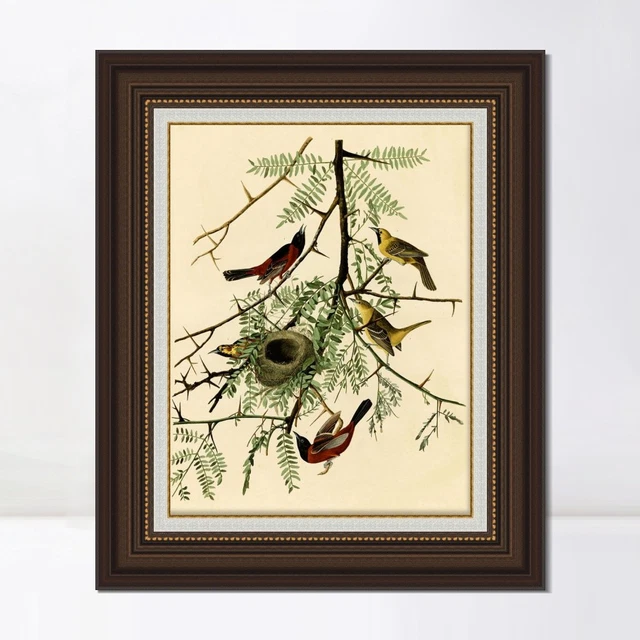 Dopaprint UNFRAMED PAPER POSTER Giclee Print Art Orchard Oriole By John ...