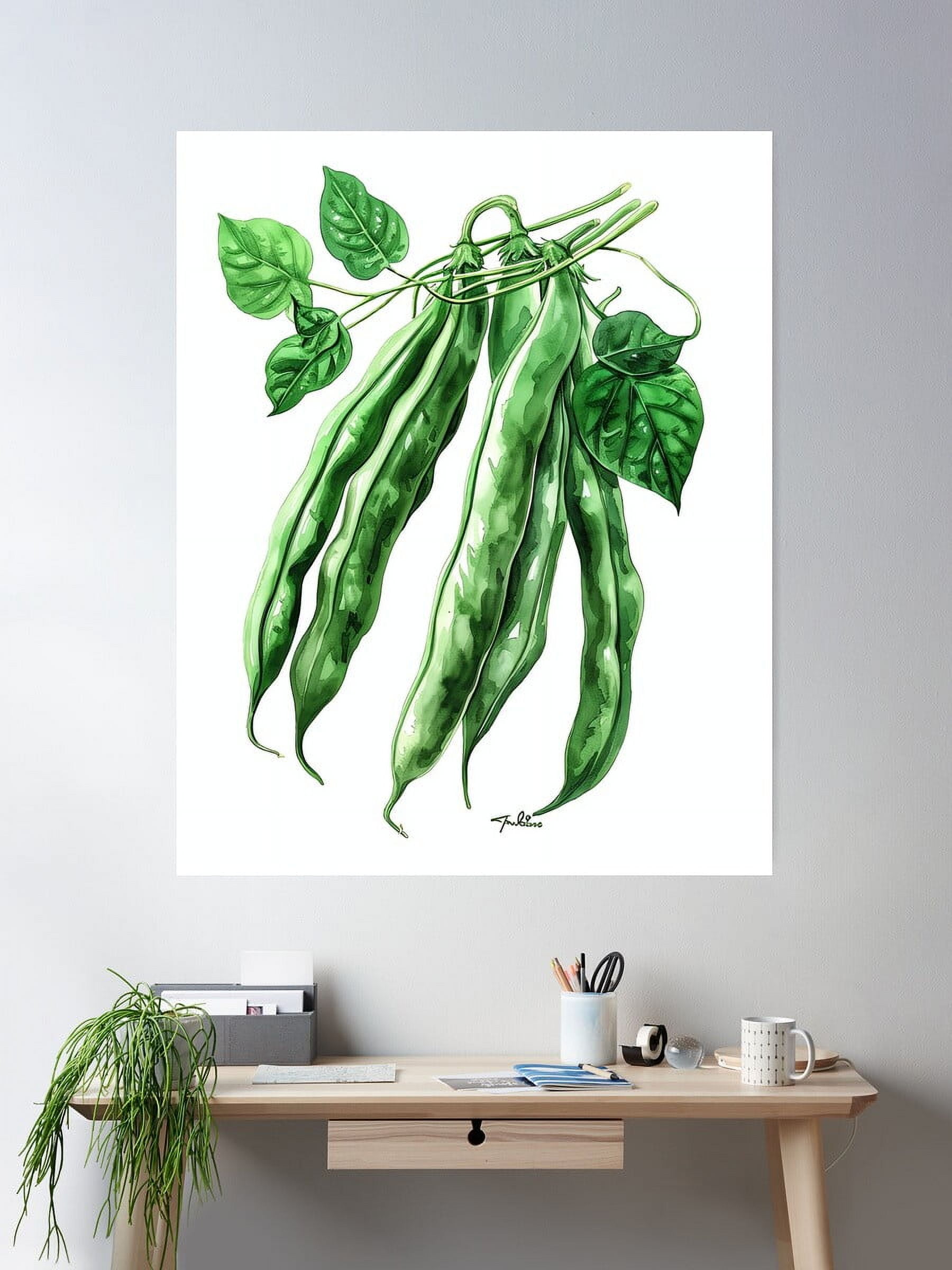 Dopaprint UNFRAMED PAPER POSTER Green Beans - Fruits And Vegetables ...