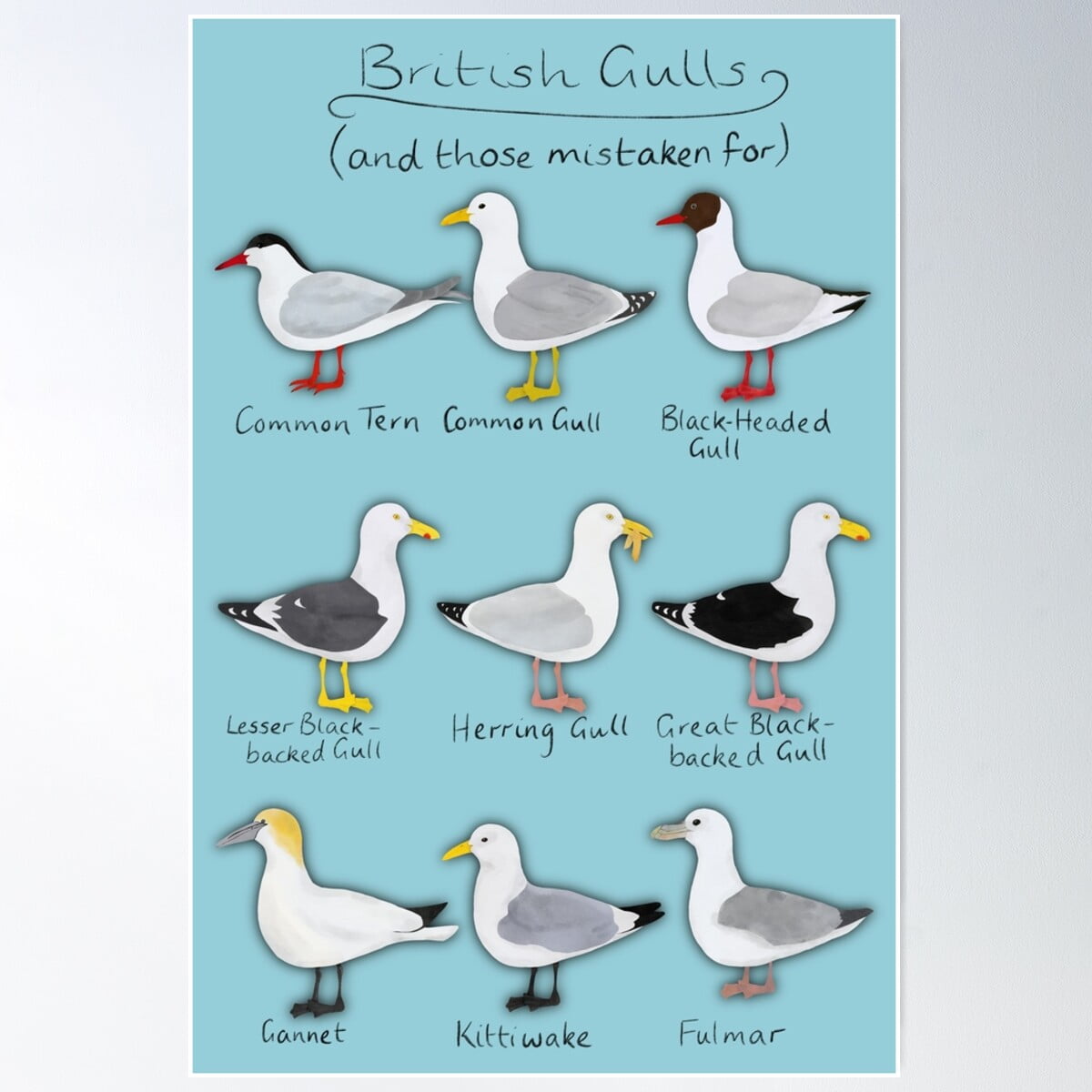 Dopaprint UNFRAMED PAPER POSTER Gull Guide Poster Art, Home Decor ...