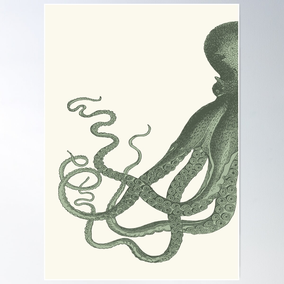 Dopaprint UNFRAMED PAPER POSTER Half Octopus, Left Side, Vintage ...