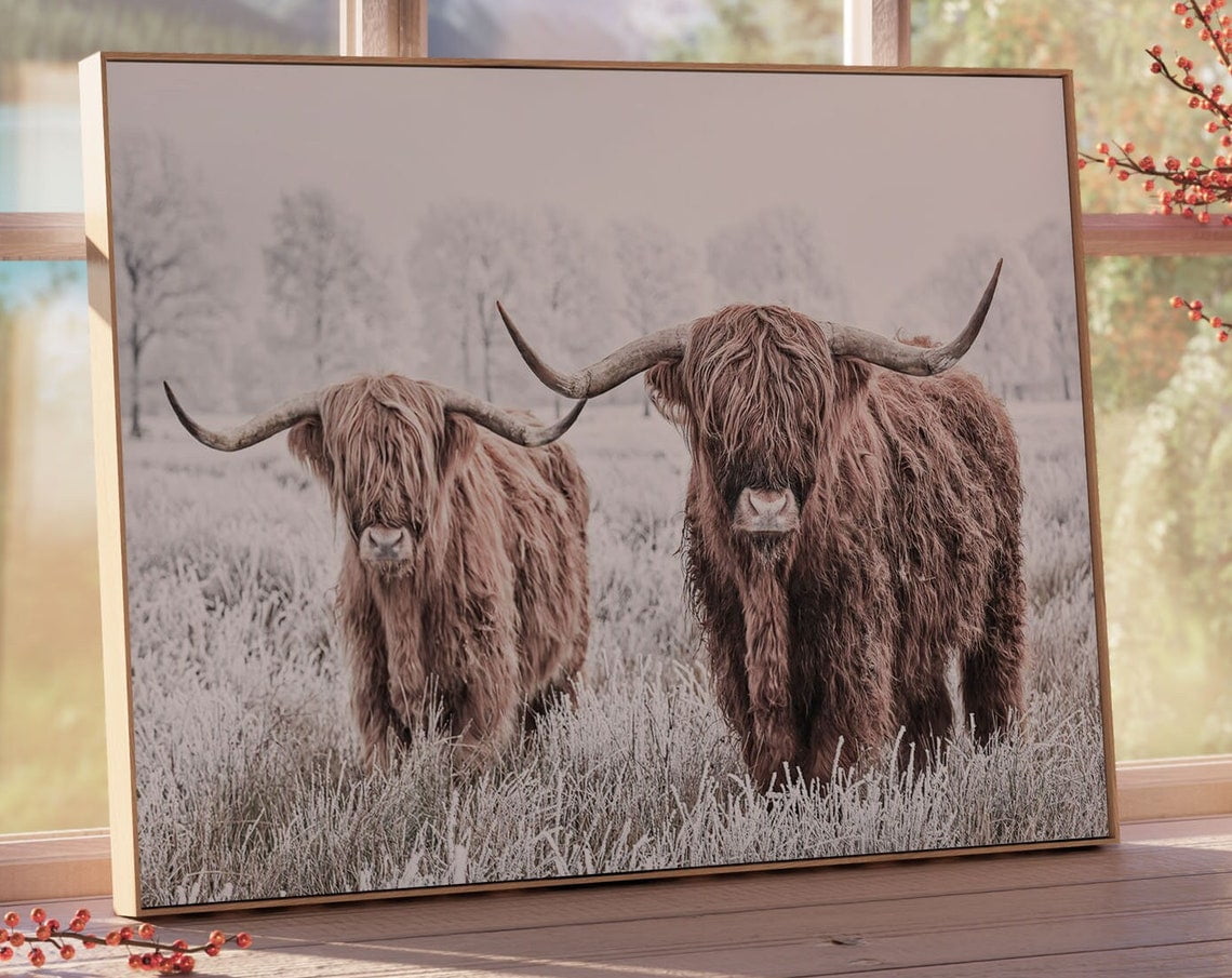 Dopaprint UNFRAMED PAPER POSTER Highland Cattle Poster , Poster ...