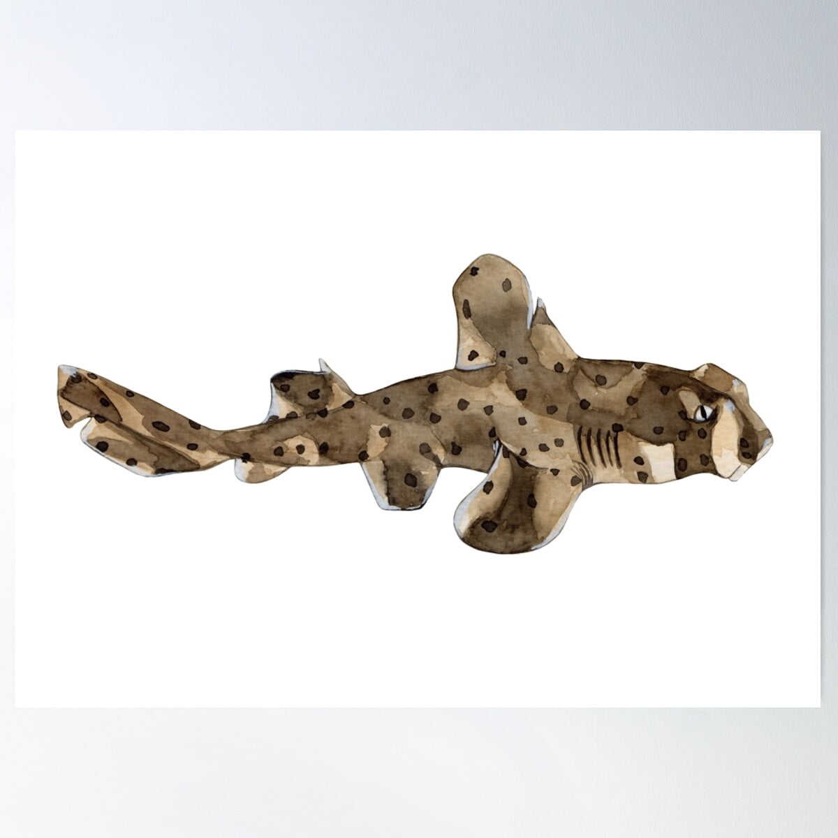 Dopaprint UNFRAMED PAPER POSTER Horn Shark-Heterodontus Francisi Poster ...