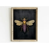 Dopaprint UNFRAMED PAPER POSTER Insect Wall Art, Chalkboard Art, Insect ...