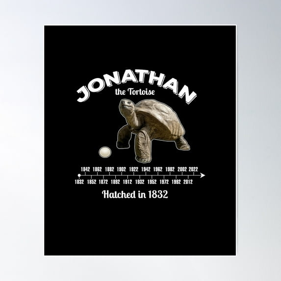 Dopaprint UNFRAMED PAPER POSTER Jonathan The Tortoise Timeline Poster ...