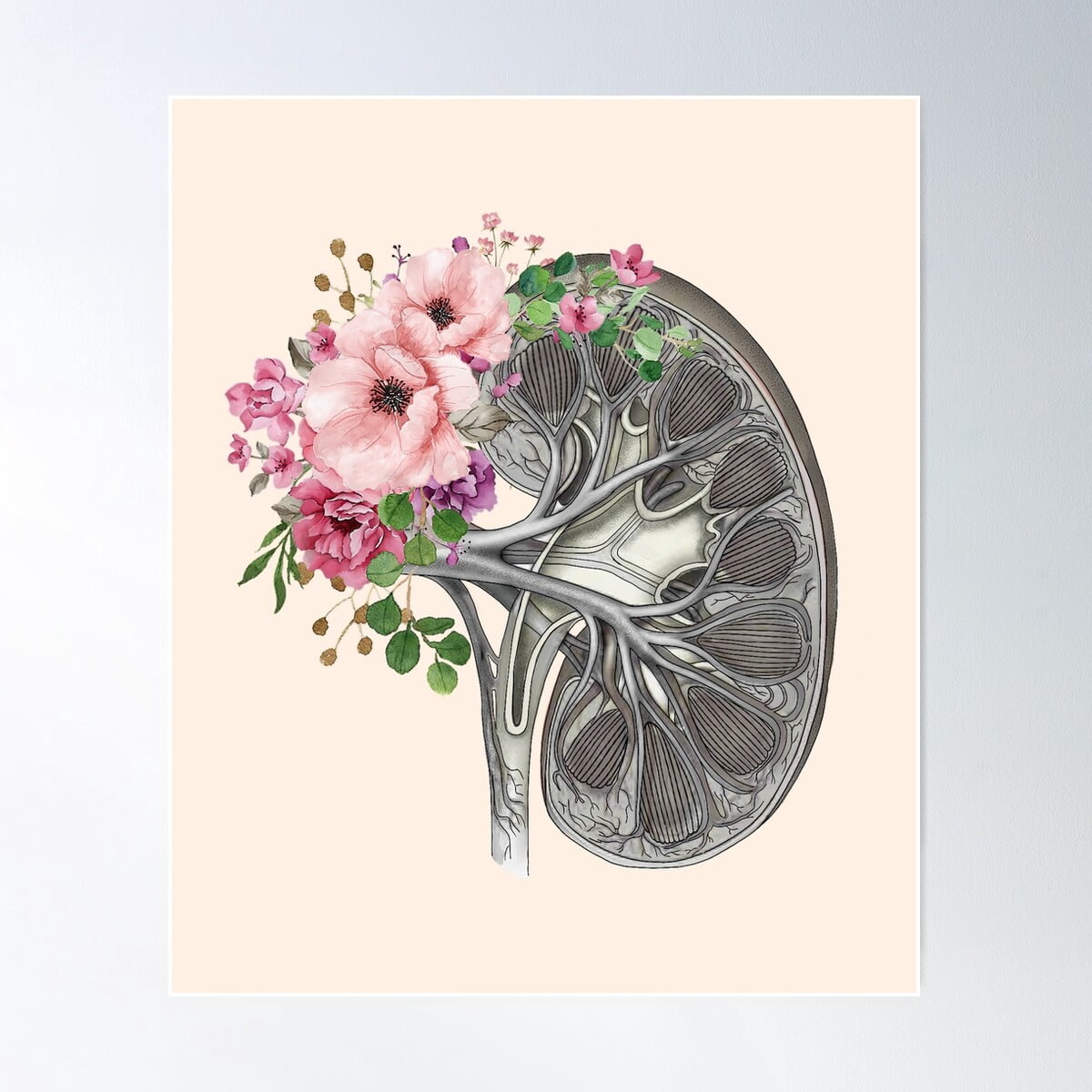 Dopaprint UNFRAMED PAPER POSTER Kidney Section And Floral Roses, Roses ...