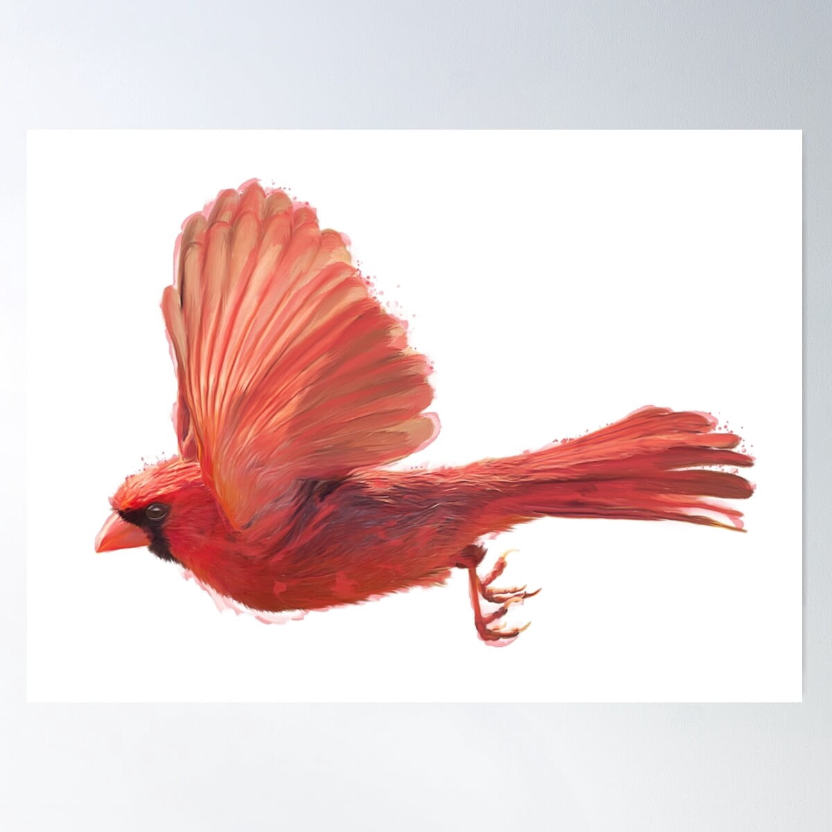 Dopaprint UNFRAMED PAPER POSTER Male Northern Cardinal Flying ...