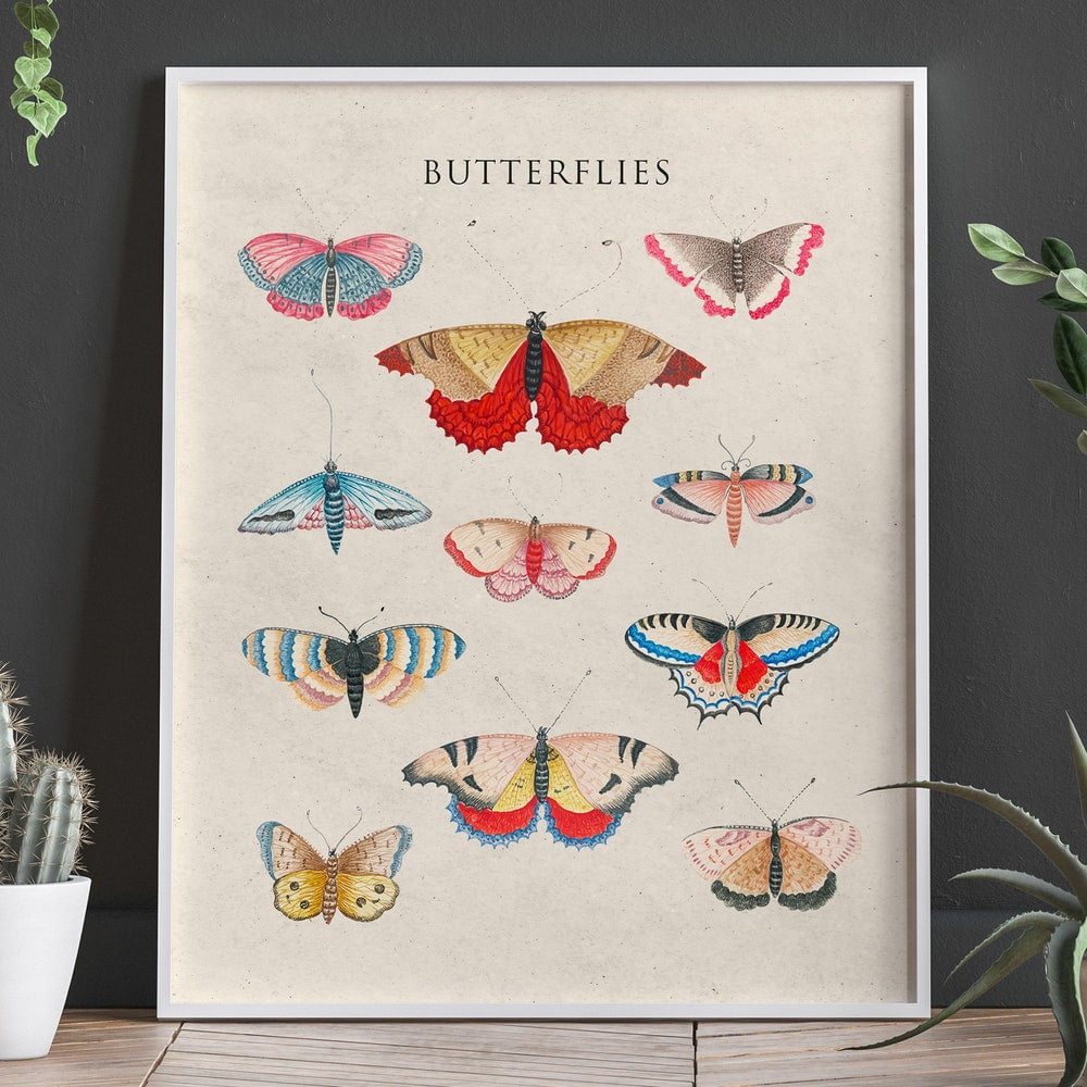 Dopaprint UNFRAMED PAPER POSTER Modern Butterfly Poster Butterfly ...