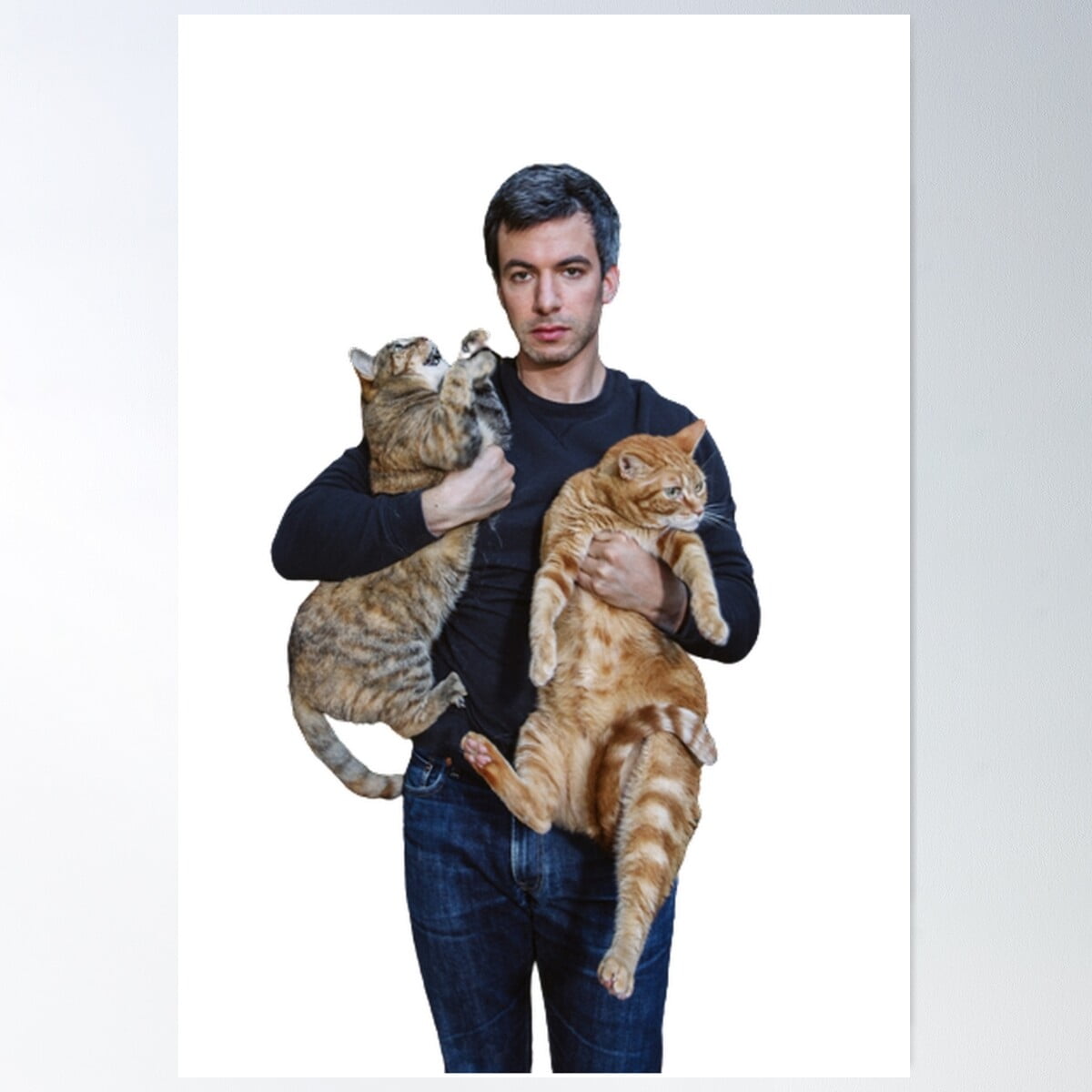 Dopaprint UNFRAMED PAPER POSTER Nathan Fielder And His Cats Poster Wall ...