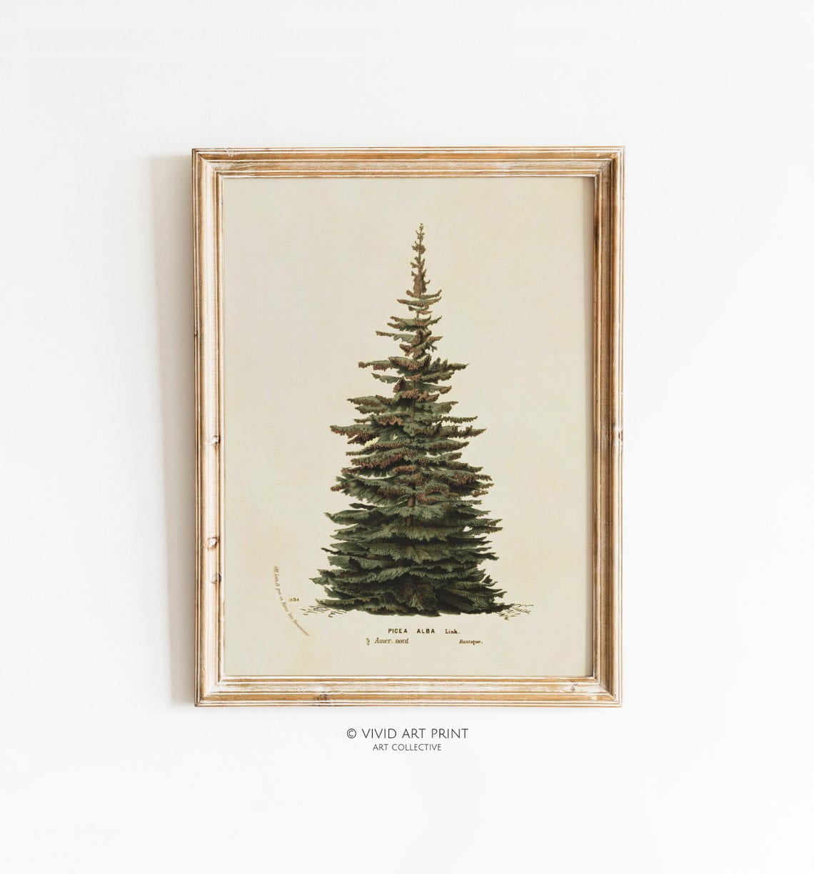 Dopaprint UNFRAMED PAPER POSTER Neutral Tree Botanical Illustration ...