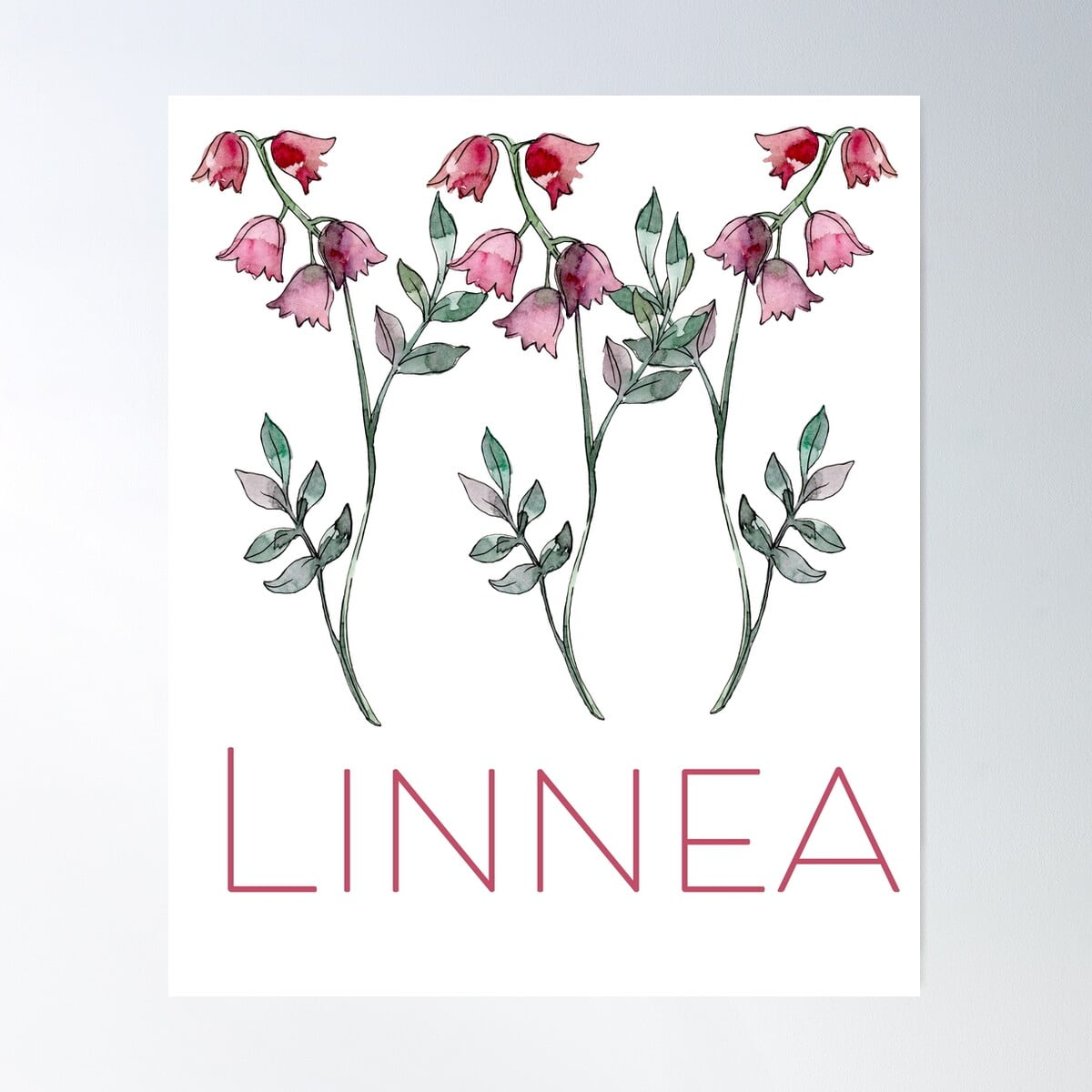 Dopaprint UNFRAMED PAPER POSTER Nordic Wildflower Linnea Twinflower ...