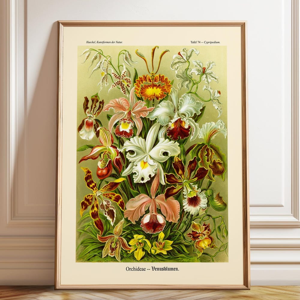 Dopaprint UNFRAMED PAPER POSTER Orchid Print Orchids Wall Art Orchids ...