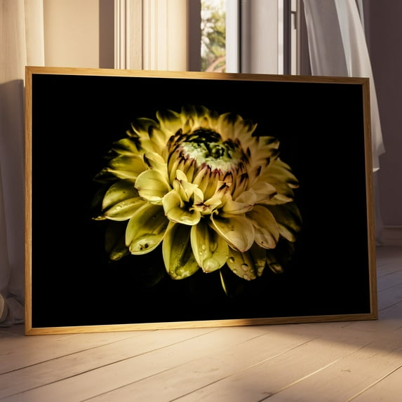 Dopaprint UNFRAMED PAPER POSTER Original Fine Art - Yellow Dahlia ...