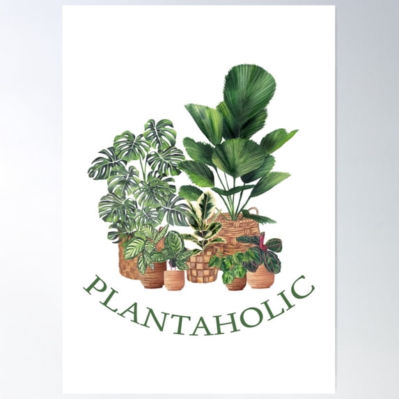 Dopaprint UNFRAMED PAPER POSTER Plantaholic House Plants Illustration 2 ...
