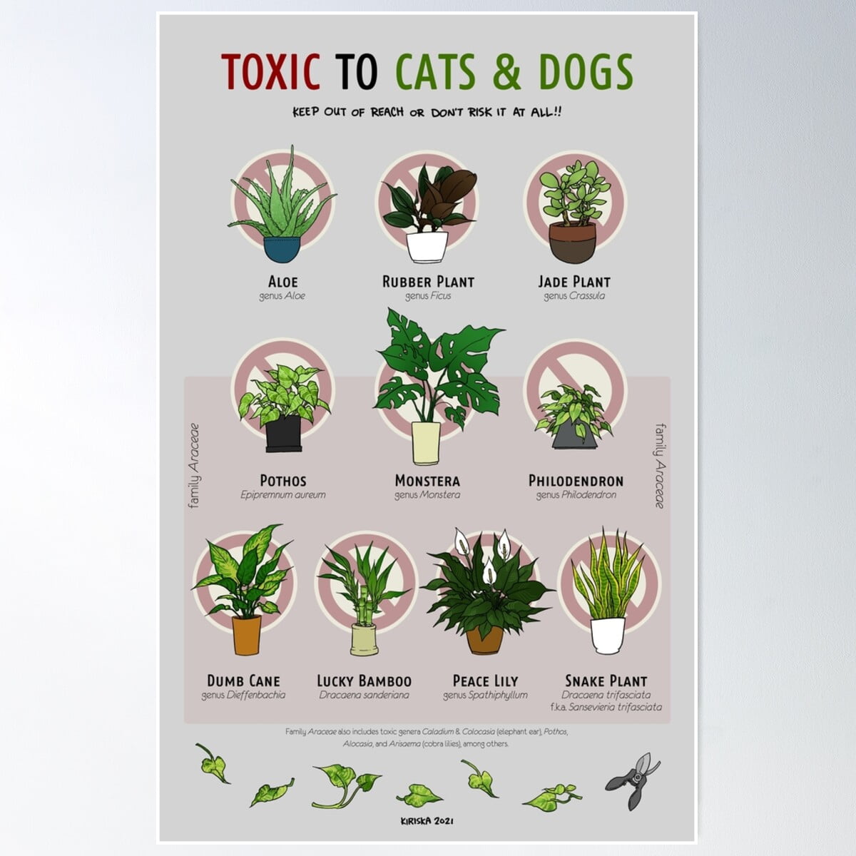 Dopaprint UNFRAMED PAPER POSTER Plants Toxic To Cats & Dogs Poster Wall ...