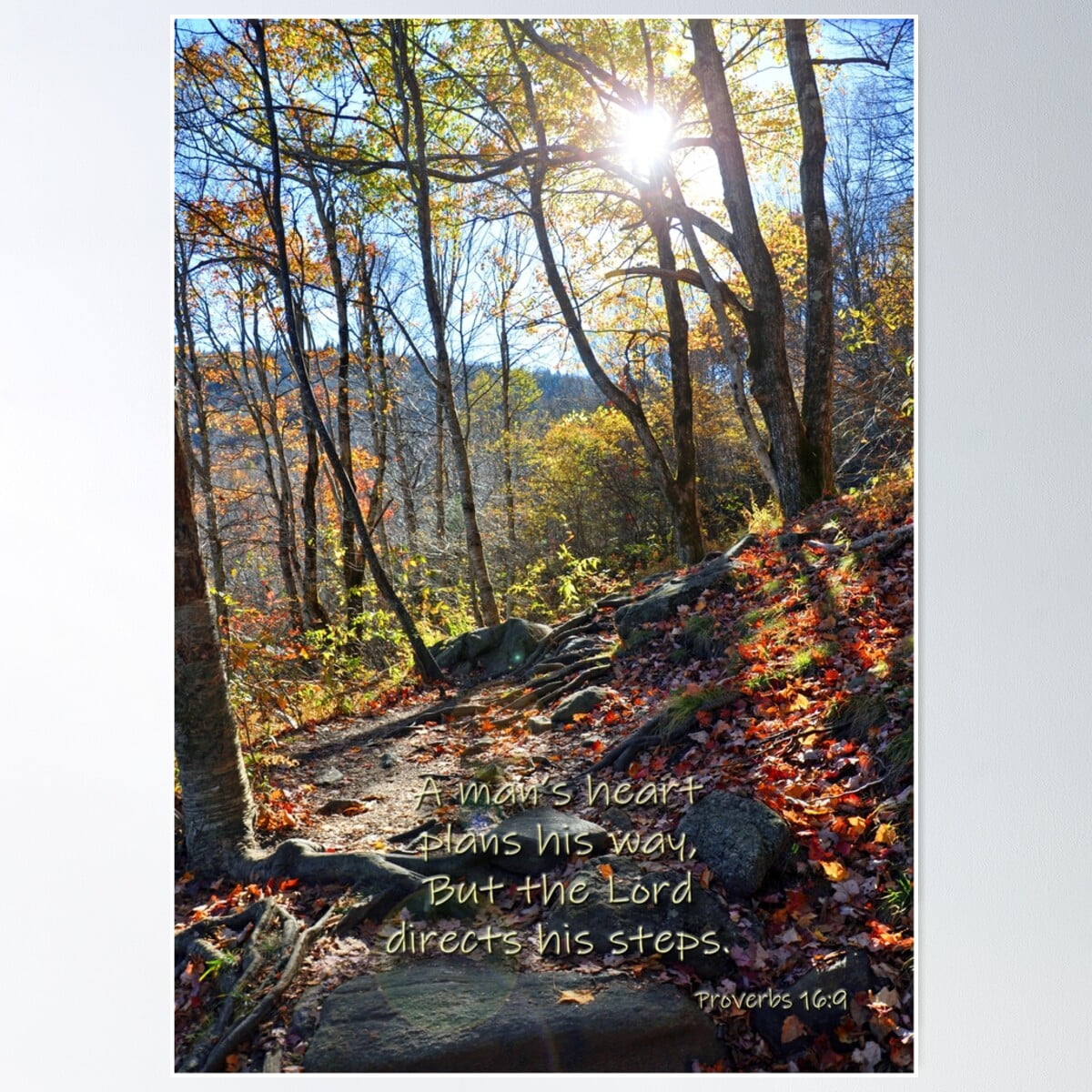 Dopaprint UNFRAMED PAPER POSTER Proverbs 16:9 Poster Wall Art, Modern ...