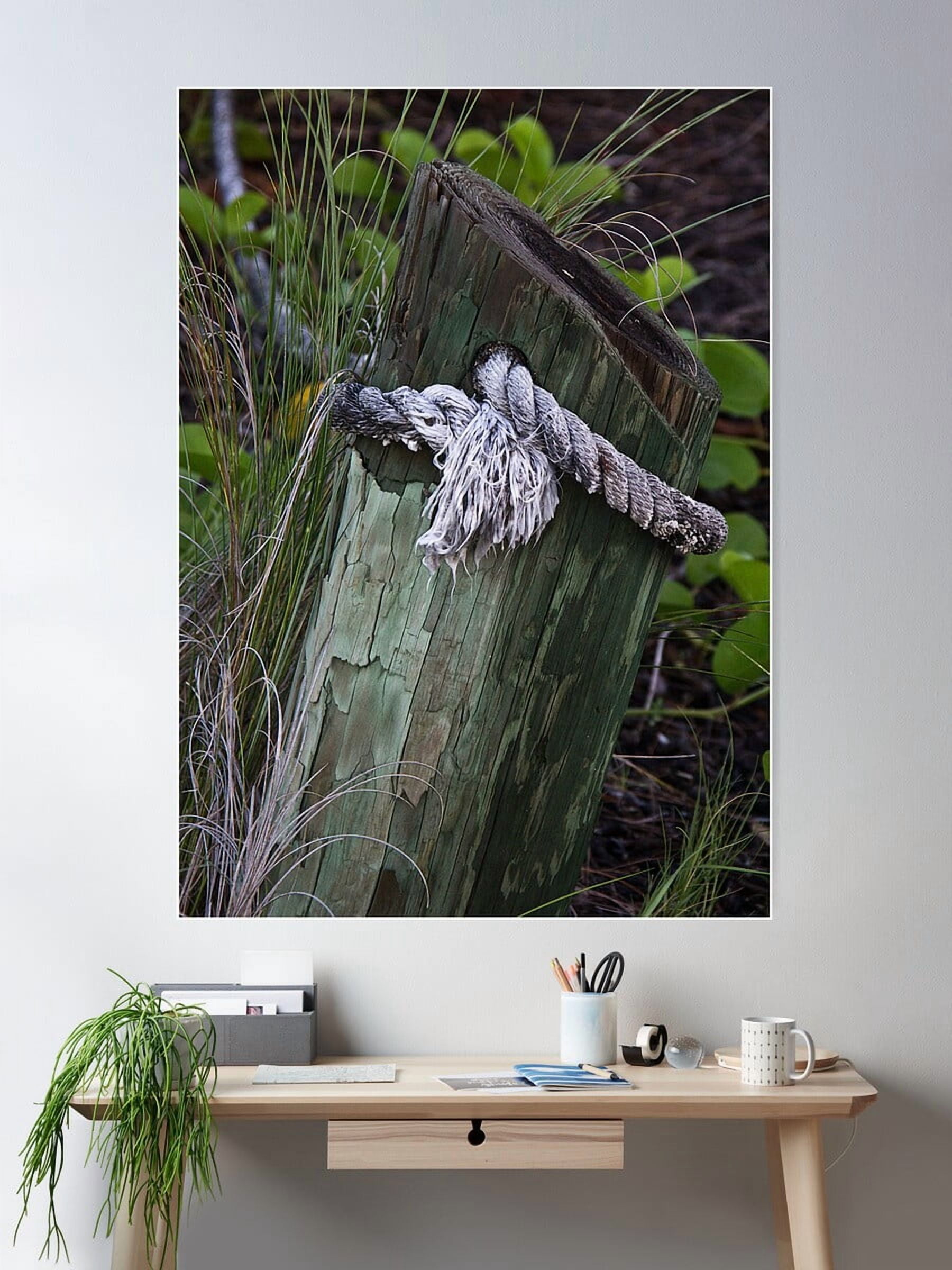 Dopaprint UNFRAMED PAPER POSTER Roped Pillar Poster Wall Art, Modern ...