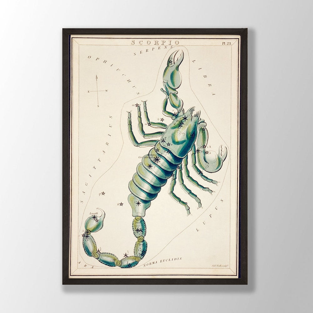 Dopaprint UNFRAMED PAPER POSTER Scorpio Zodiac Art Print, Astrology ...
