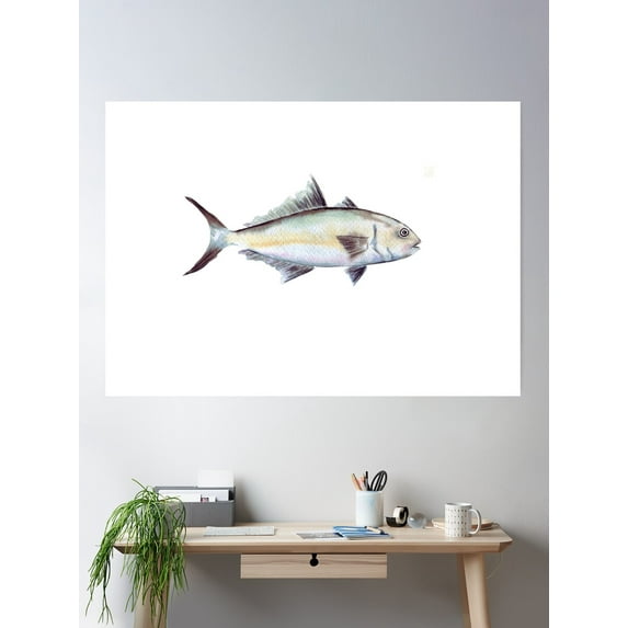 Dopaprint UNFRAMED PAPER POSTER Sea Fish Poster Wall Art, Modern Wall ...