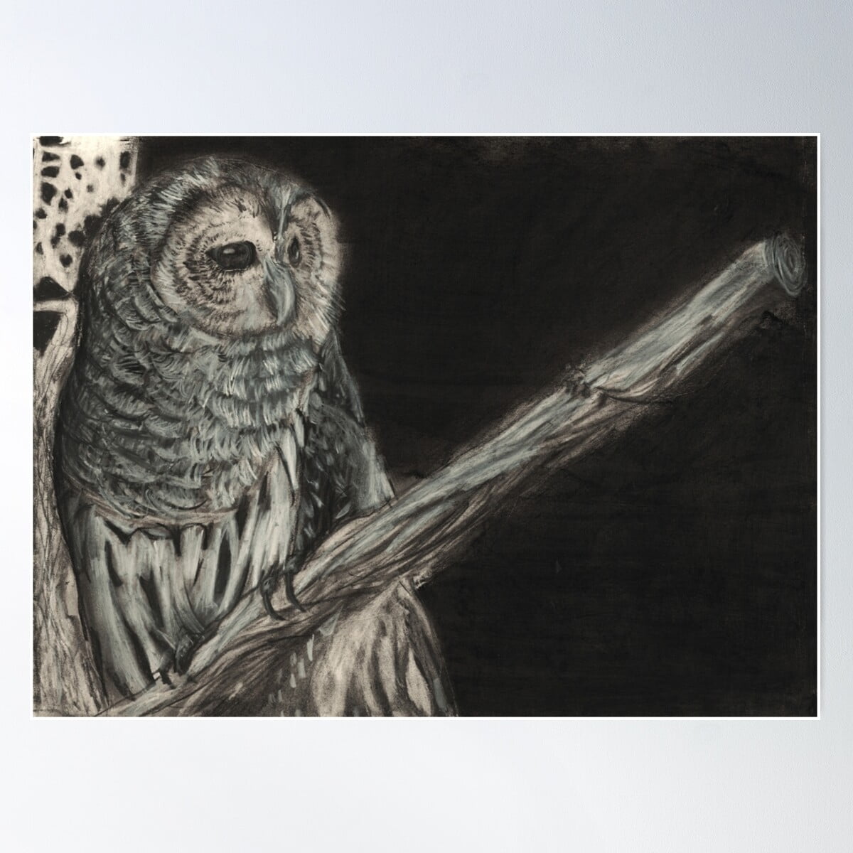 Dopaprint UNFRAMED PAPER POSTER Stately Barred Owl Charcoal Drawing ...