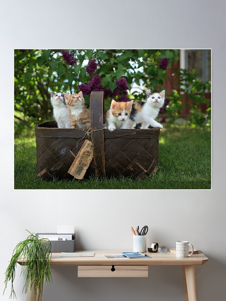 Dopaprint UNFRAMED PAPER POSTER Super Cute Kitty Cats In A Floral ...
