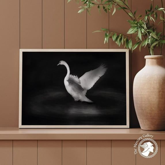 Dopaprint UNFRAMED PAPER POSTER Swan Print, Dark Academia Decor, Swan ...