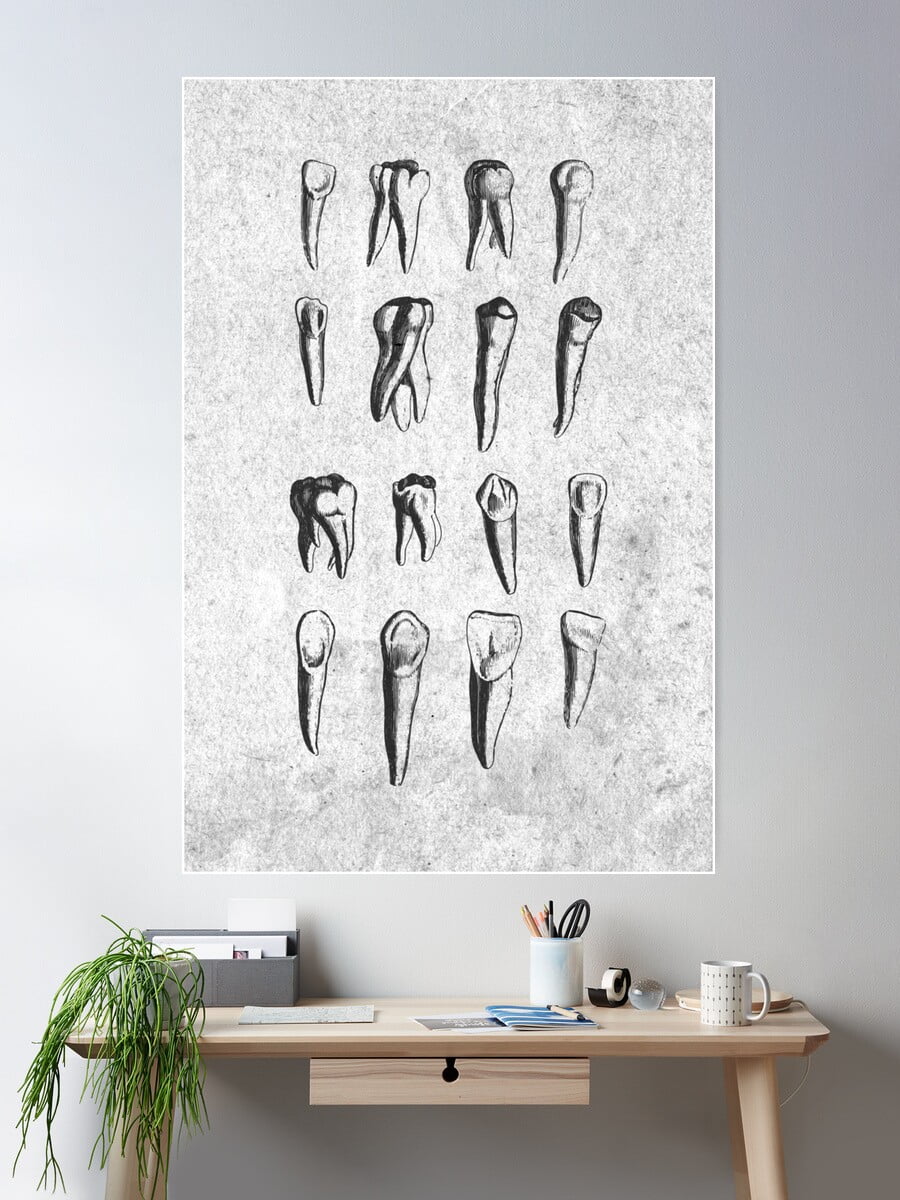 Dopaprint UNFRAMED PAPER POSTER Teeth! - Dental Theme Vintage Engraving ...