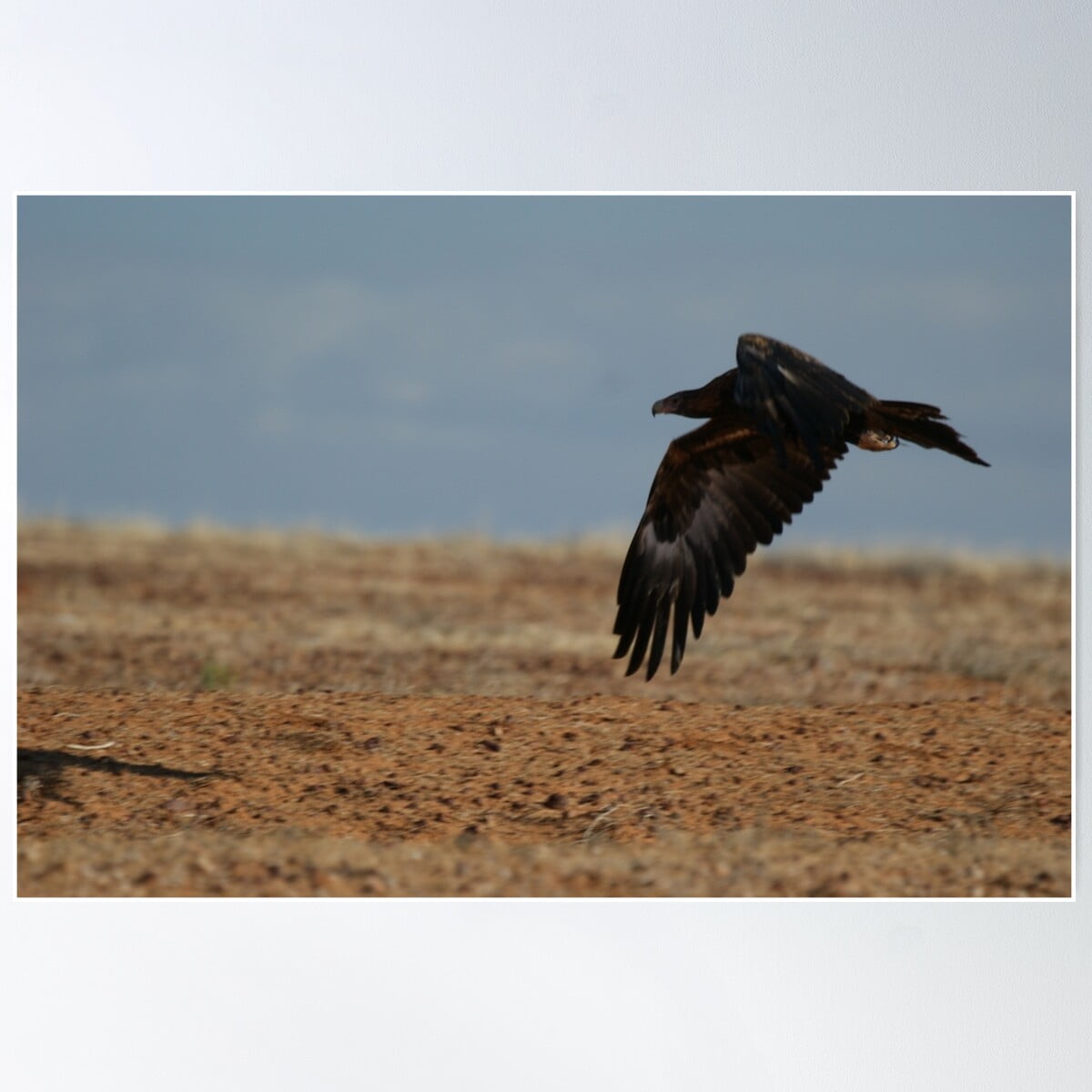 Dopaprint UNFRAMED PAPER POSTER Time To Fly Poster Wall Art, Modern ...