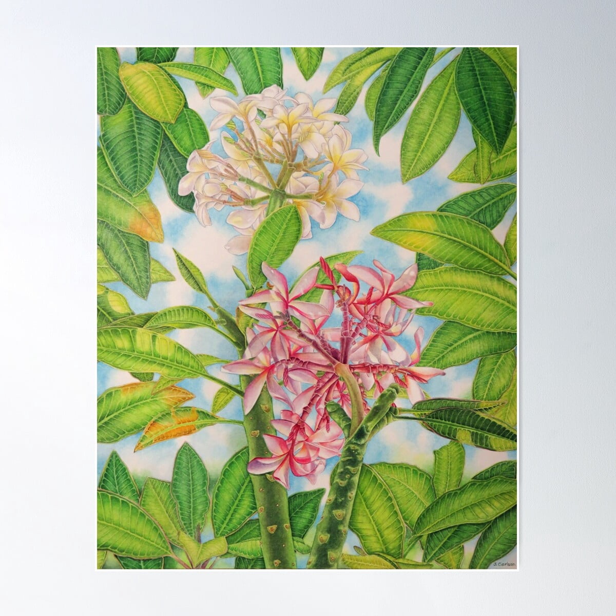 Dopaprint UNFRAMED PAPER POSTER Two Frangipani Poster Wall Art, Modern ...