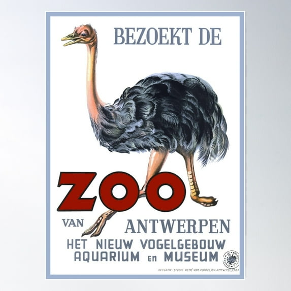 Dopaprint UNFRAMED PAPER POSTER Vintage Antwerp Zoo Ostrich Advertising ...