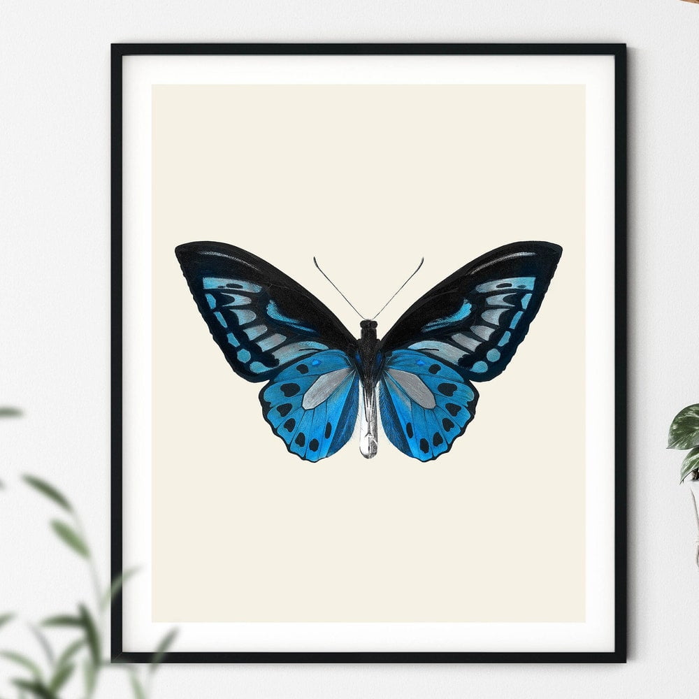 Dopaprint UNFRAMED PAPER POSTER Vintage Blue Butterfly Print ...