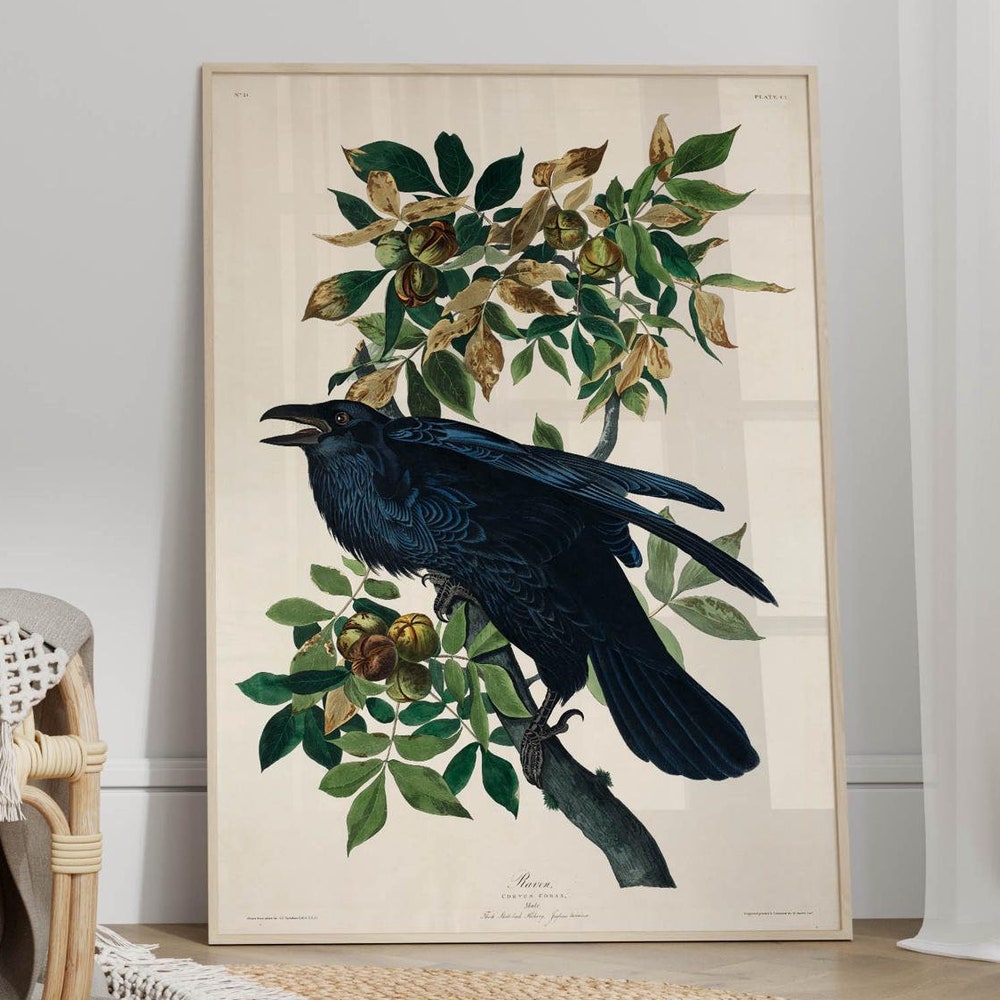 Dopaprint UNFRAMED PAPER POSTER Vintage Crow Print - Raven Wall Art ...
