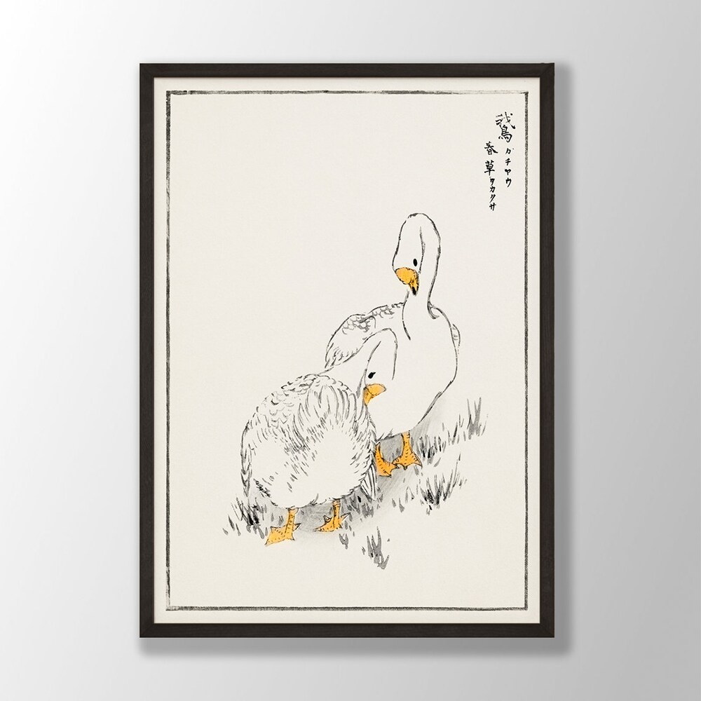 Dopaprint UNFRAMED PAPER POSTER Vintage Duck Art Print, Duck Poster ...