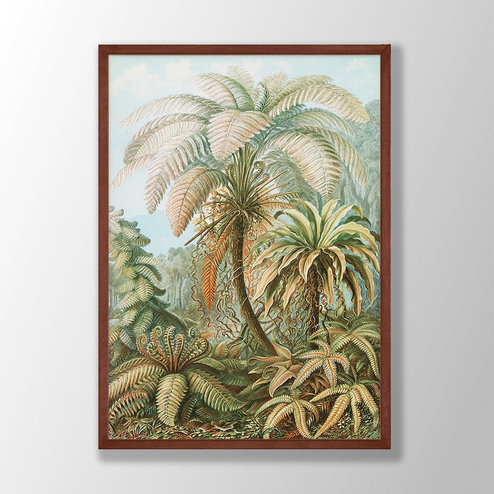 Dopaprint UNFRAMED PAPER POSTER Vintage Ernst Haeckel Poster - Vintage ...