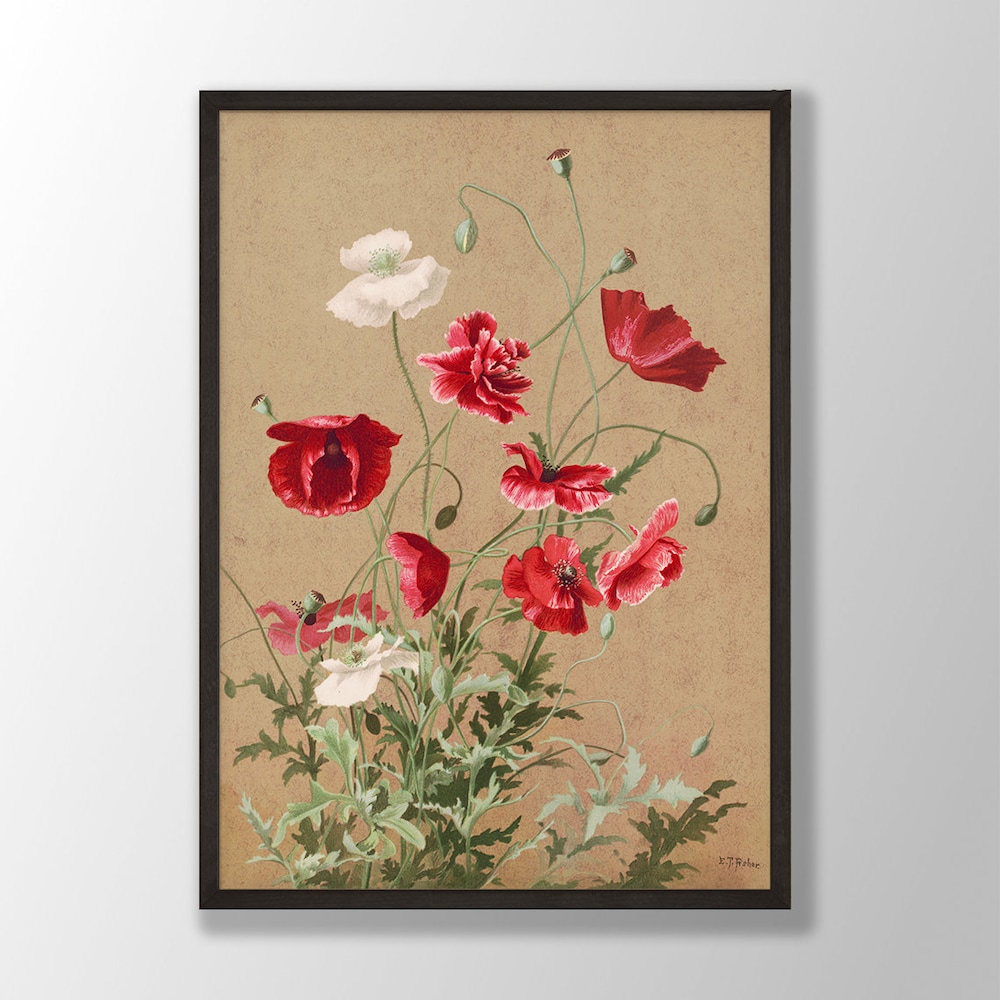 Dopaprint UNFRAMED PAPER POSTER Vintage Flower Art Print, Poppies Print ...