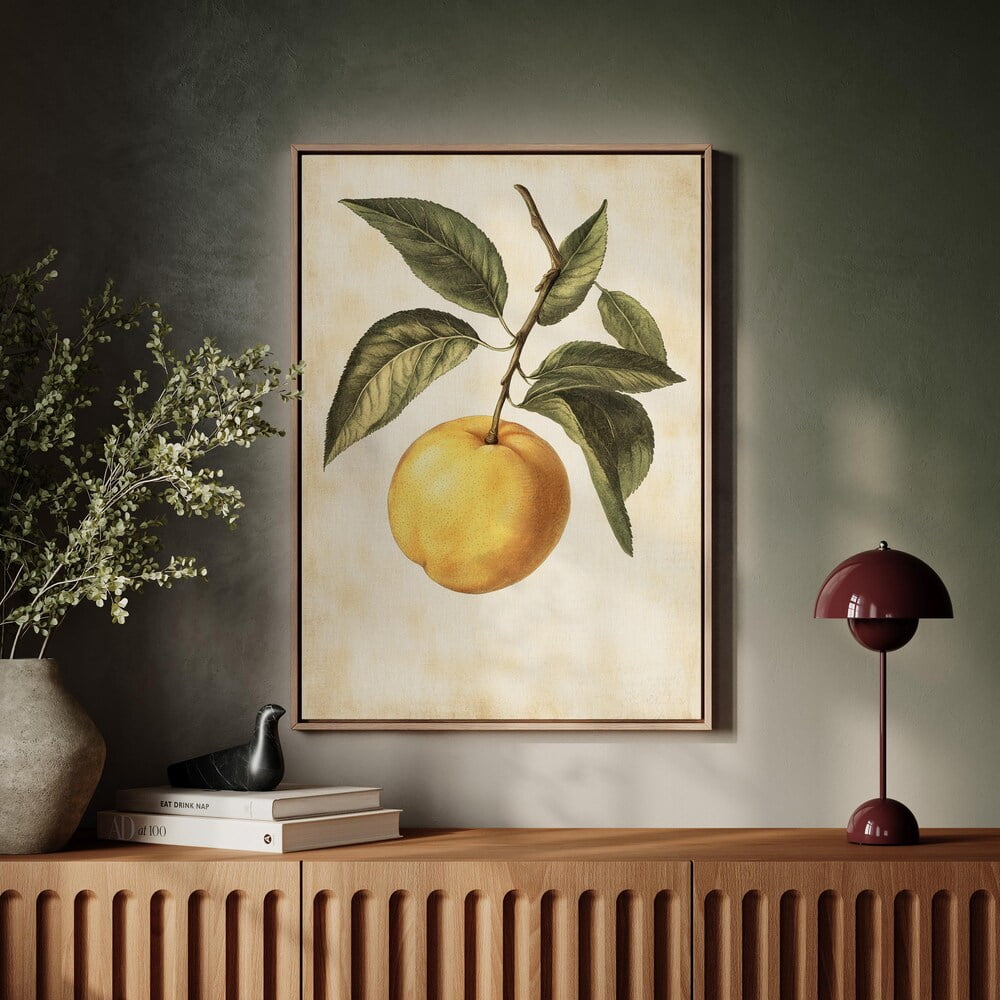 Dopaprint UNFRAMED PAPER POSTER Vintage Pear Illustration, Botanical ...