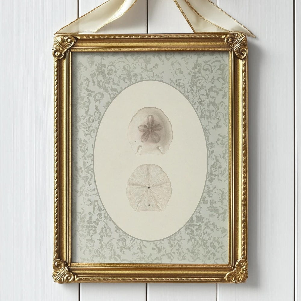 Dopaprint UNFRAMED PAPER POSTER Vintage Sand Dollar Print, Naturalist ...