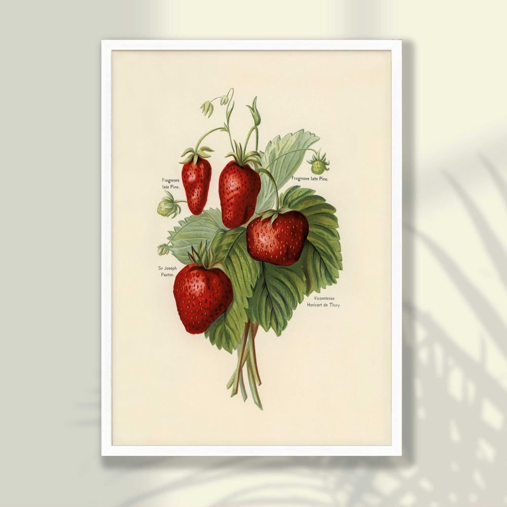 Dopaprint UNFRAMED PAPER POSTER Vintage Strawberry Poster, Strawberry ...