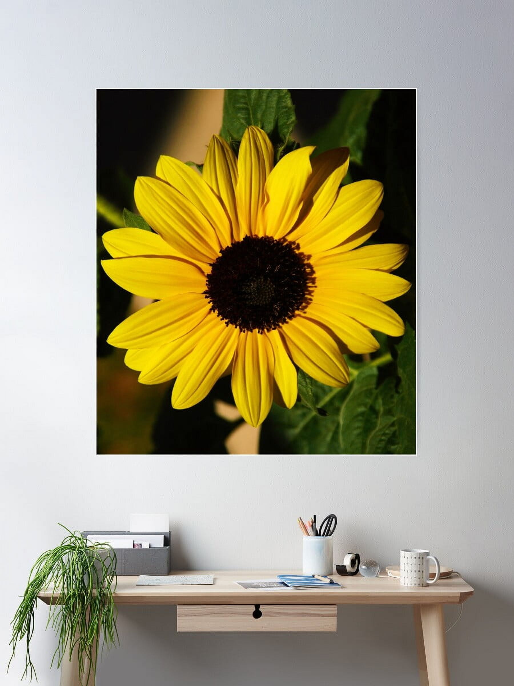 Dopaprint UNFRAMED PAPER POSTER Yellow Daisy In The Shadows Poster Wall ...
