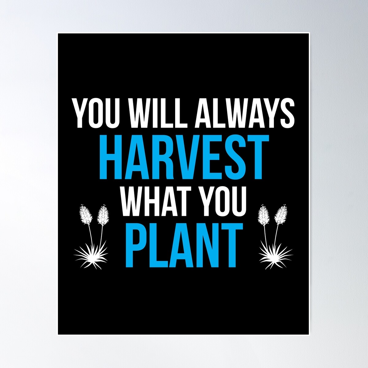 Dopaprint UNFRAMED PAPER POSTER You Will Always Harvest What You Plant ...