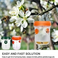 Bees N Things Wood Hanging Carpenter Bee Catcher for Outdoor Use ...