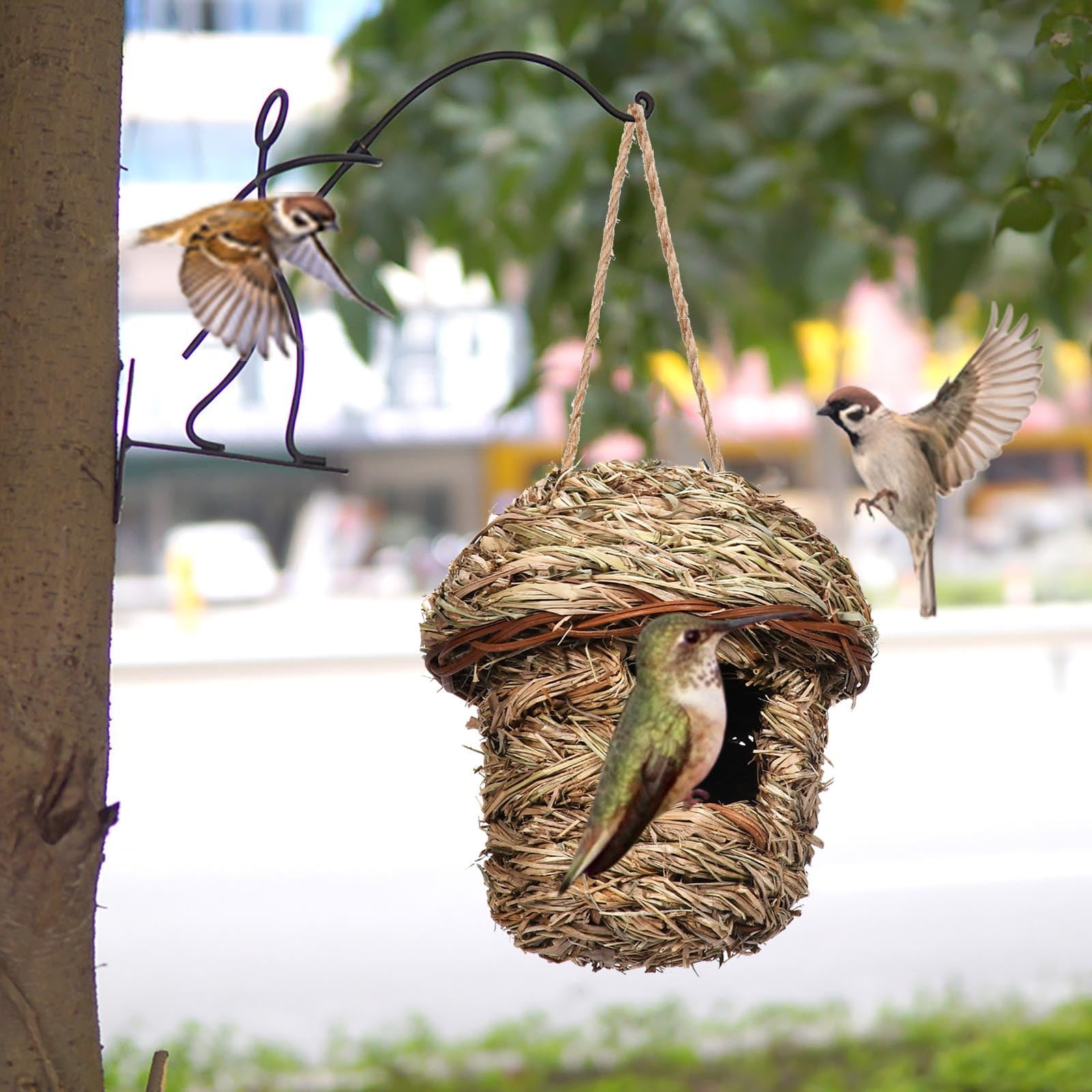 Dopebox Hummingbird House, Hand Woven Bird Nest for Outdoors Hanging ...