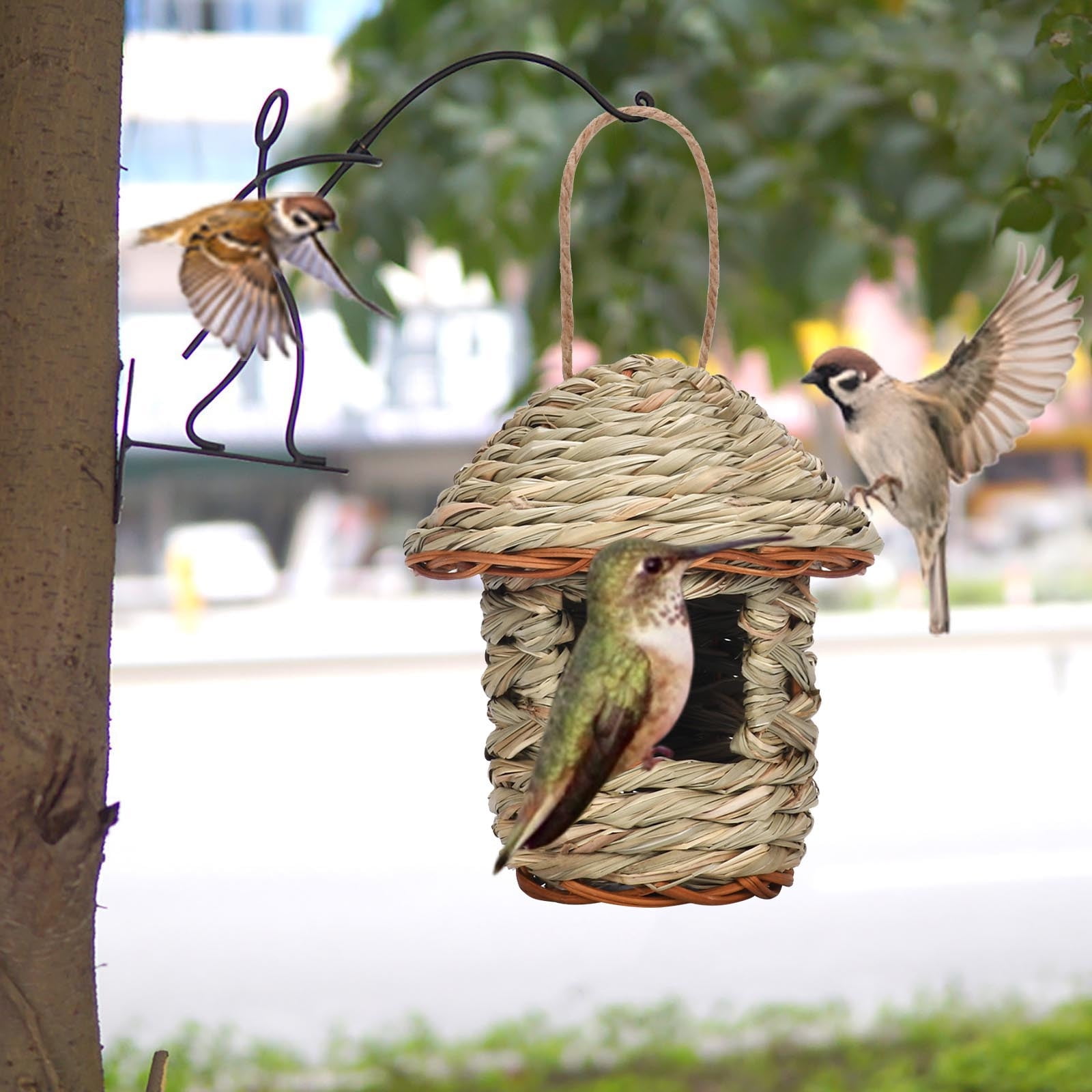 Dopebox Hummingbird House, Hand Woven Bird Nest for Outdoors Hanging ...